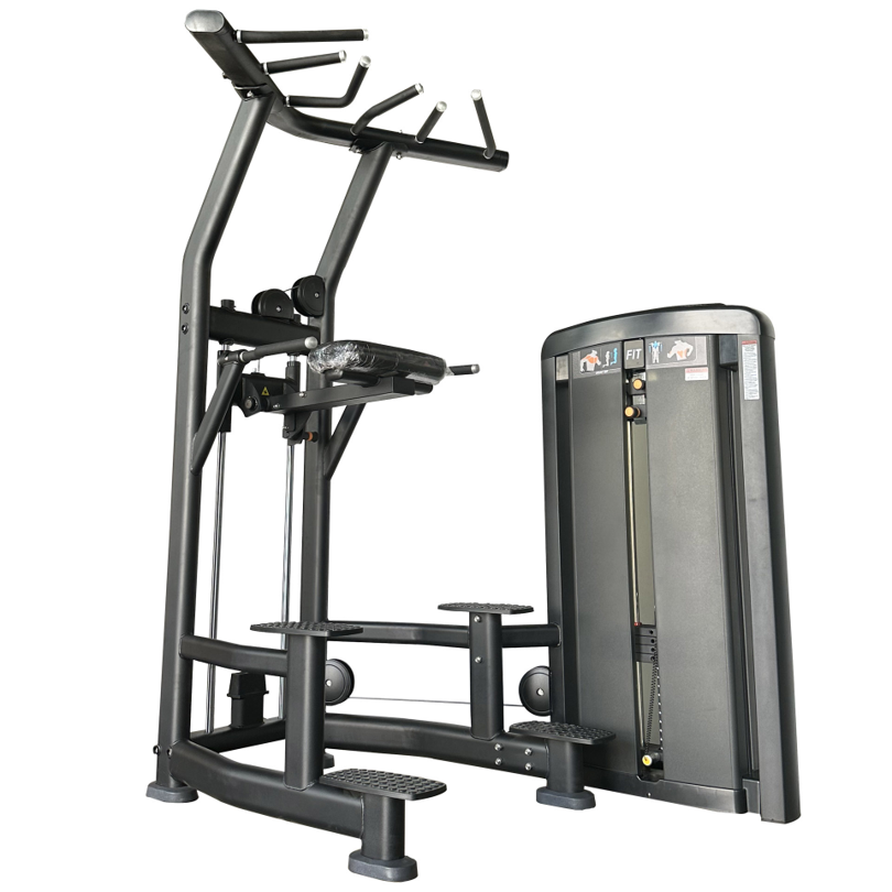 Pull-Up & Dip Station – i-Fitness